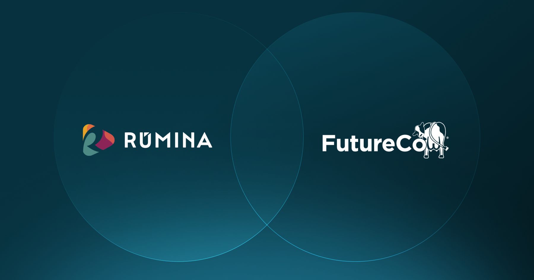 Nova era do setor leiteiro: Rúmina anuncia joint venture com a Future ...