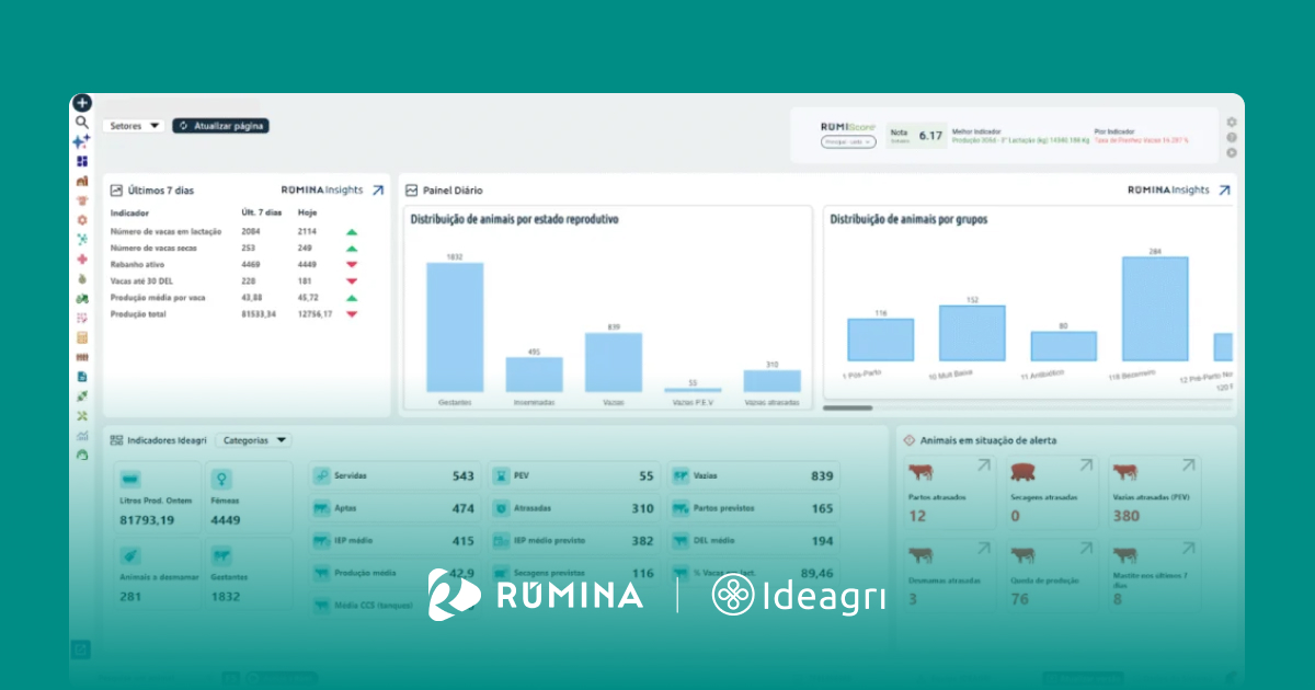 Novo dashboard Ideagri Desktop - Rúmina